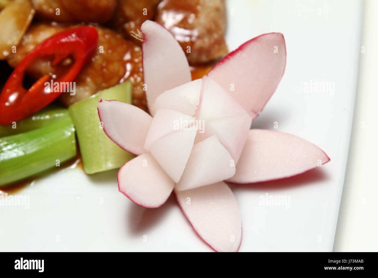 food aliment plate bovine radish fresh meat radishes food aliment ...