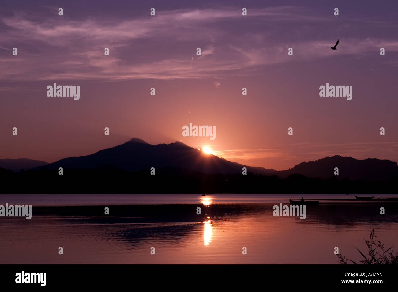 sunset pastel purple orange salt water sea ocean water red rowing boat ...