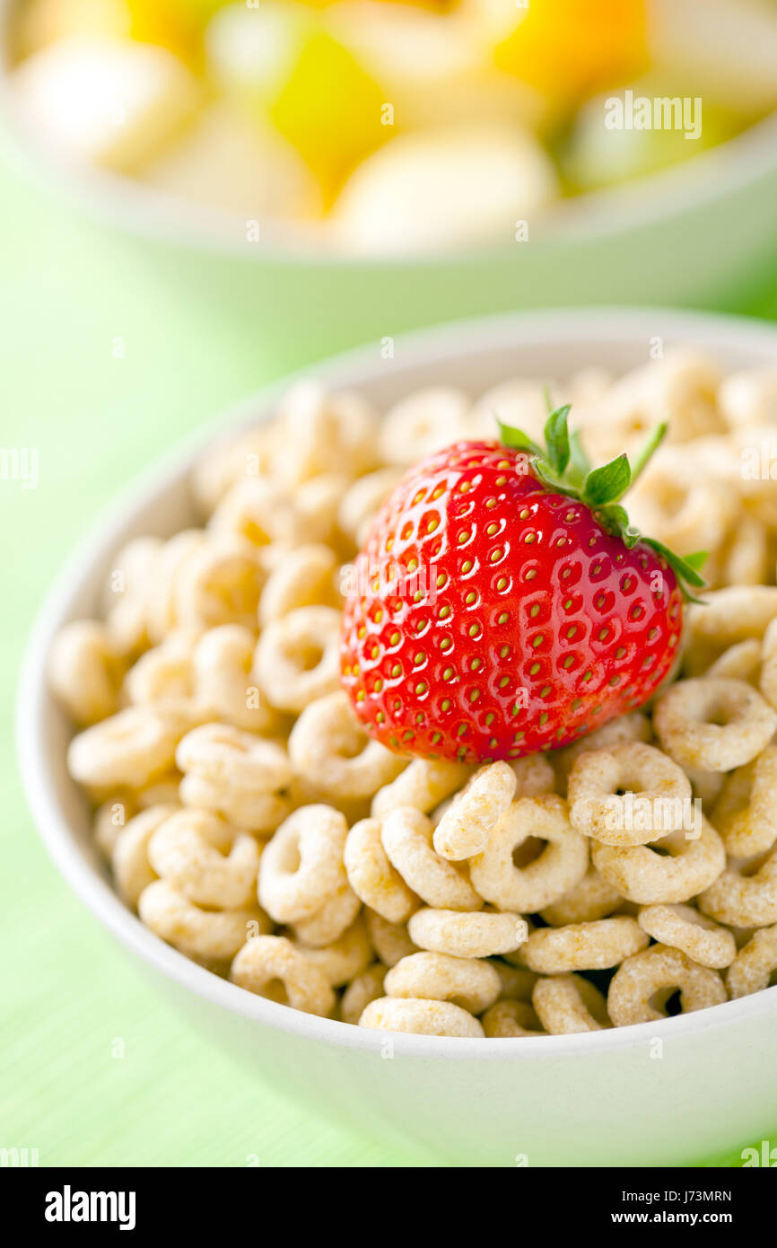food aliment sugar fruit fruity circle cereal breakfeast breakfast ...