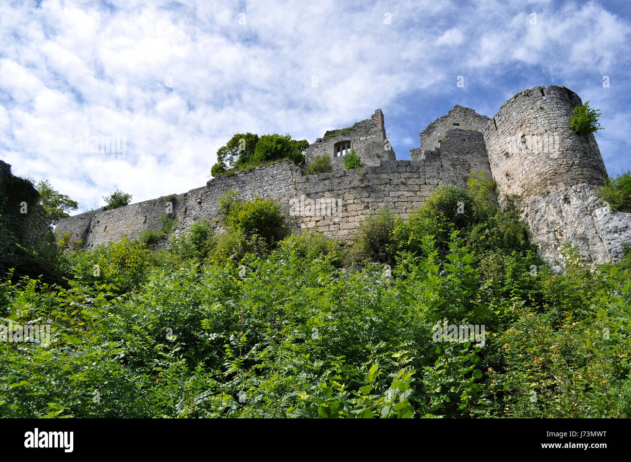 blue tower plant cloud firmament sky side chateau castle holiday ...