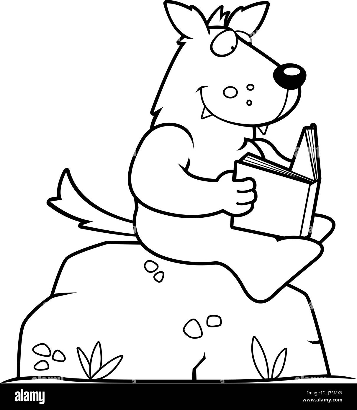 A cartoon wolf sitting on a rock reading a book Stock Vector Image ...
