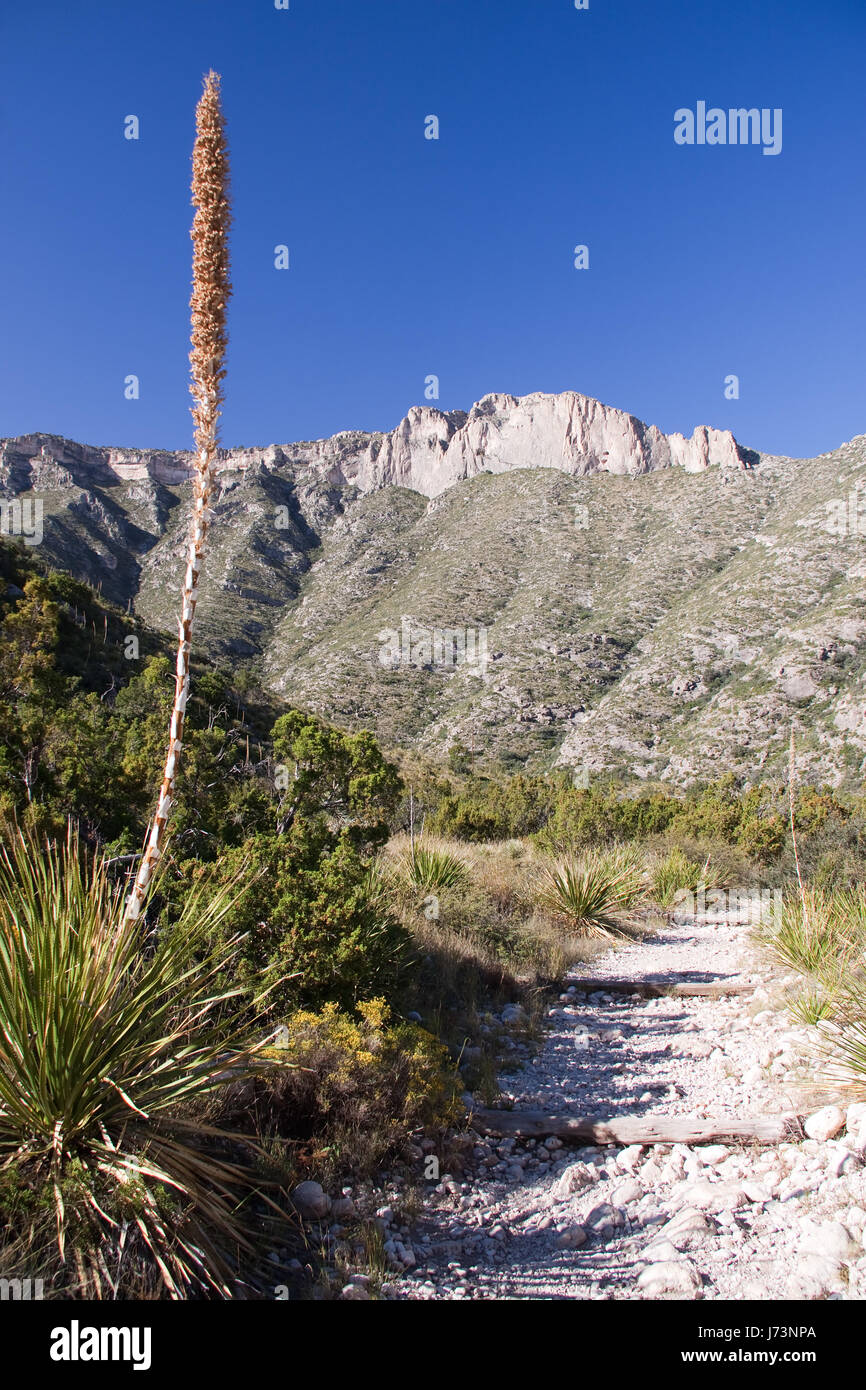 hill mountains summit rock climax peak comb ridge bone spines stones ...