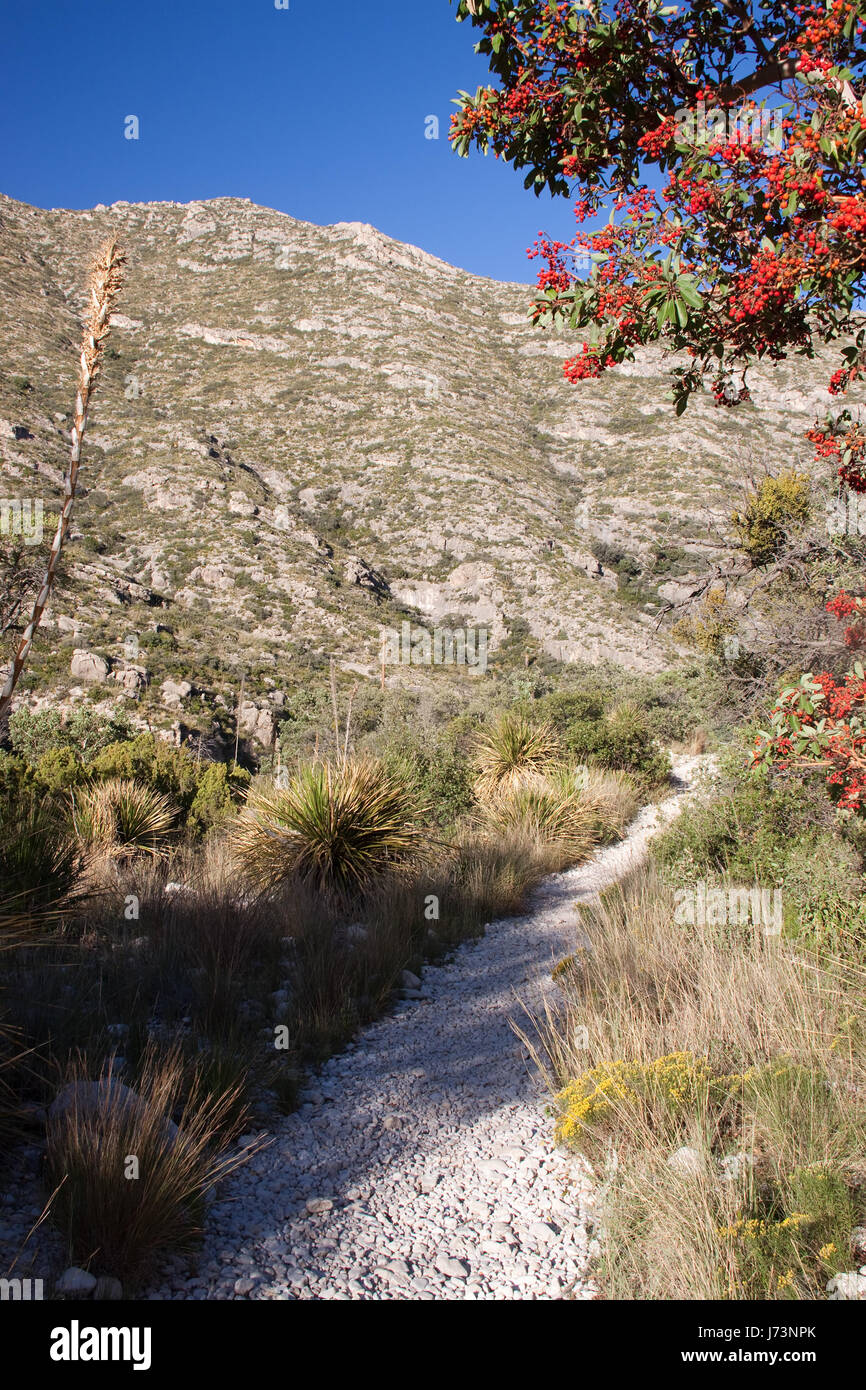 hill mountains summit rock climax peak comb ridge bone spines stones ...