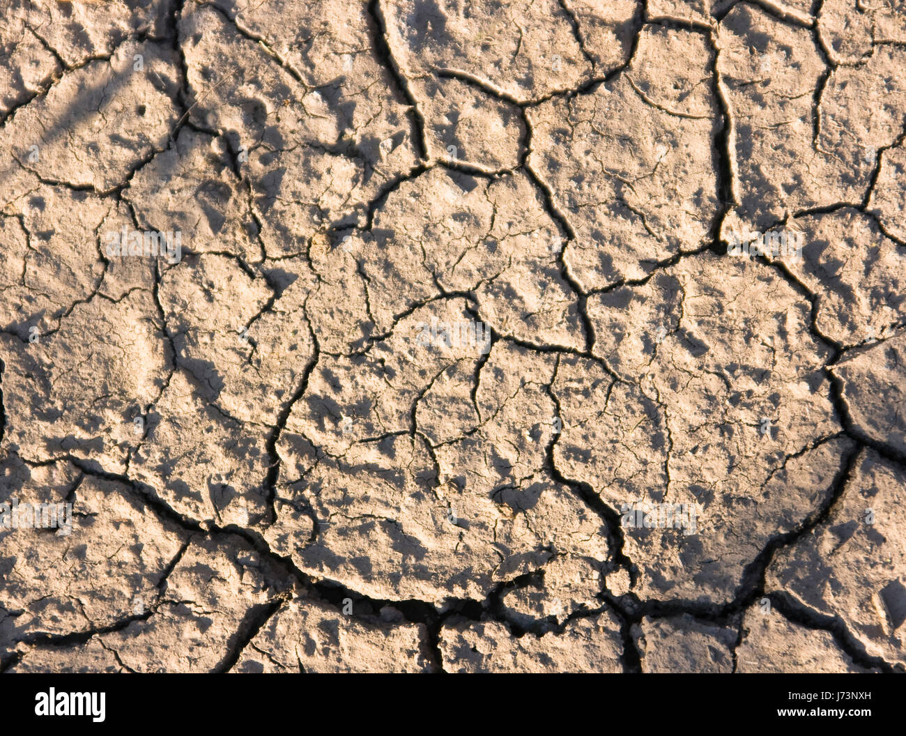 desert wasteland ground soil earth humus erosion surface dry dried up ...