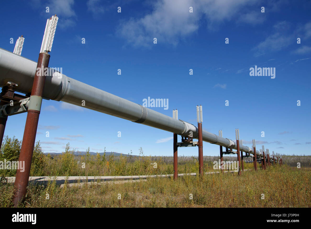 alaska oil arctic usa pollution alaska pipe oil tube circle pipeline ...