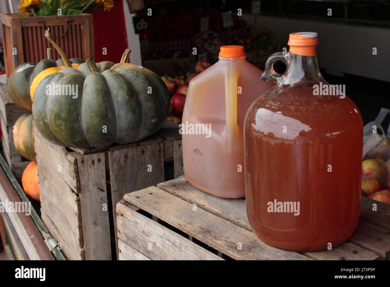 cider apple agriculture farming harvest fruit apples apple jug bottle ...