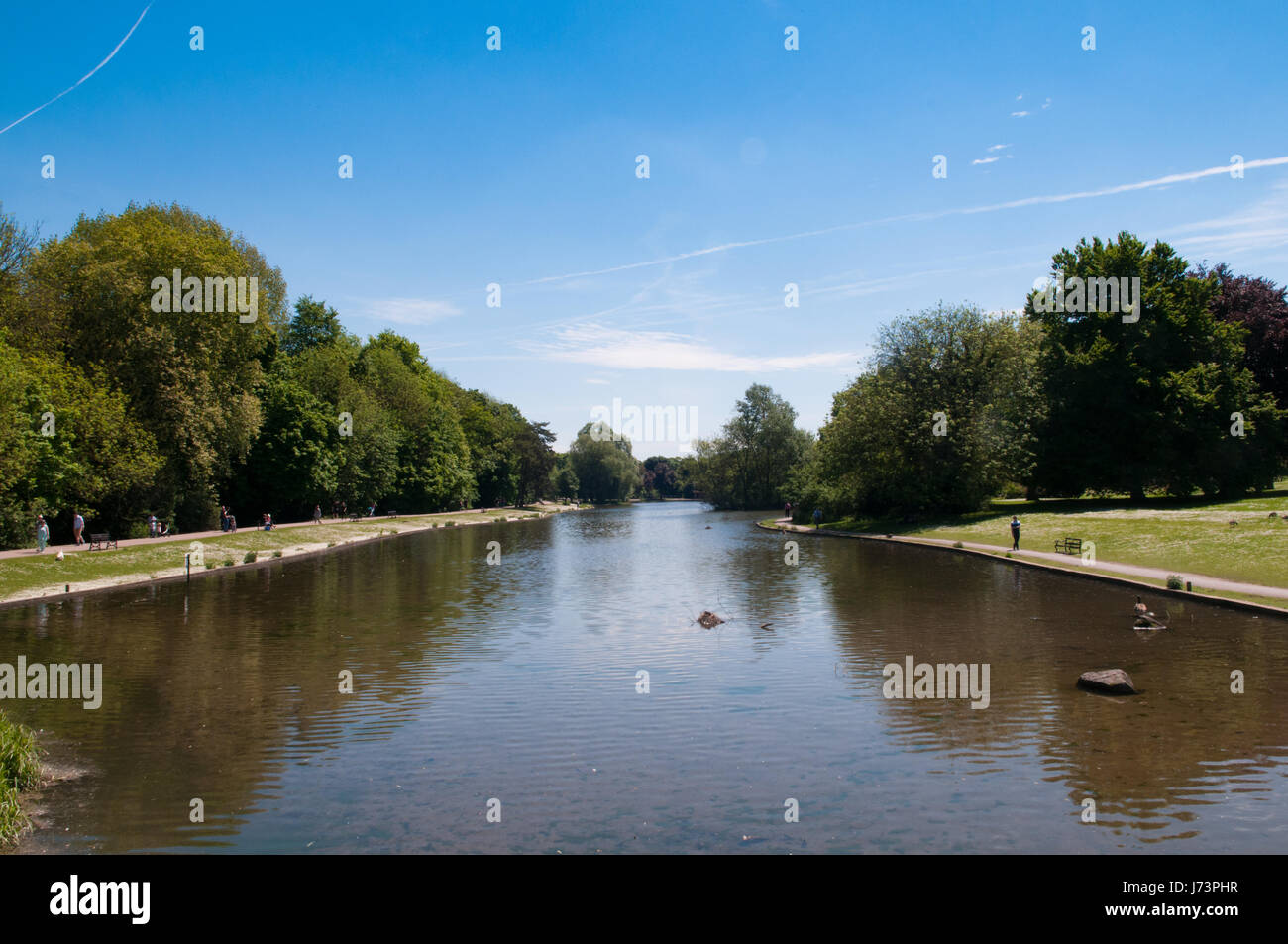 View over a lake in a public park Stock Photo - Alamy