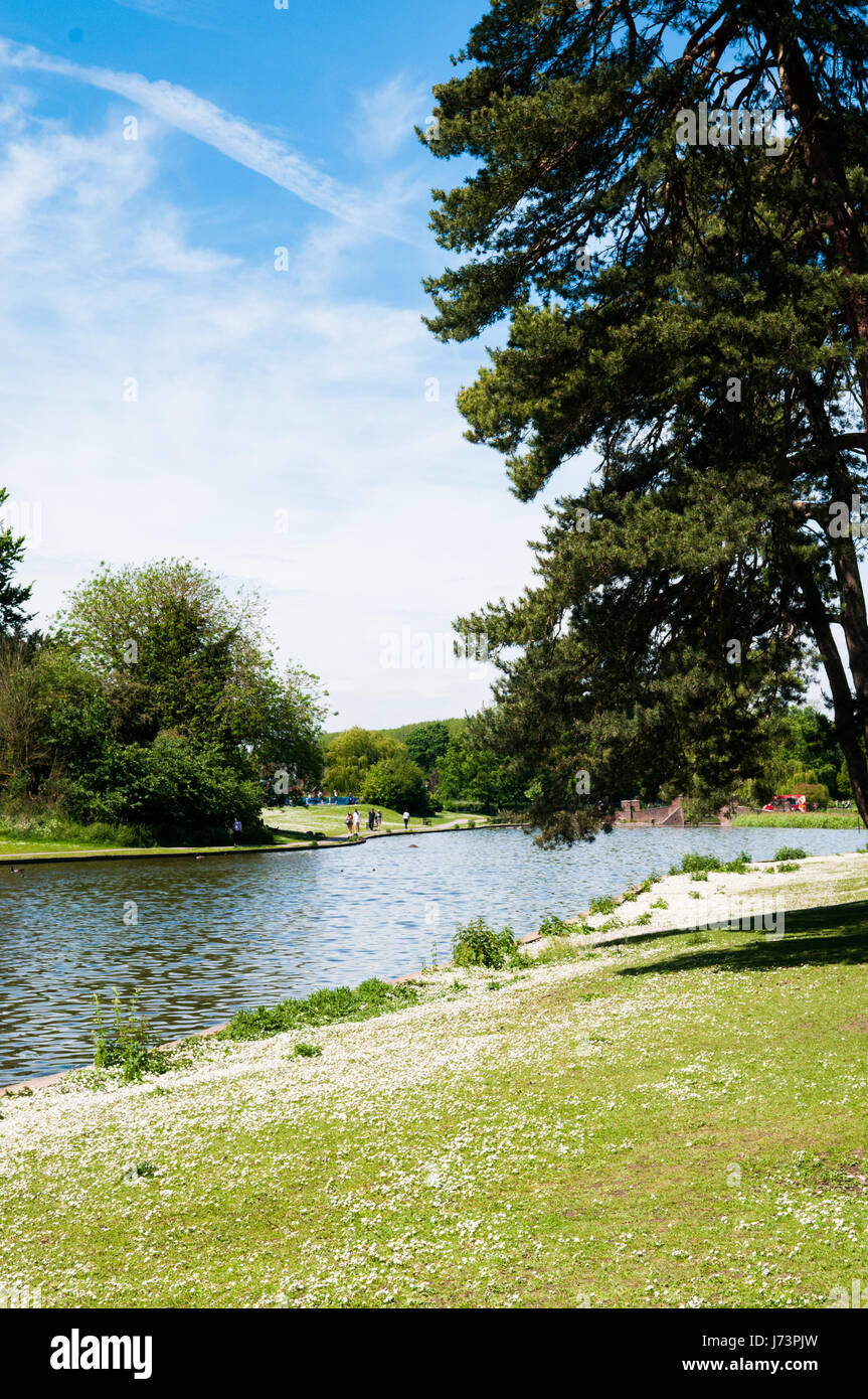Overhanging tree hi-res stock photography and images - Alamy