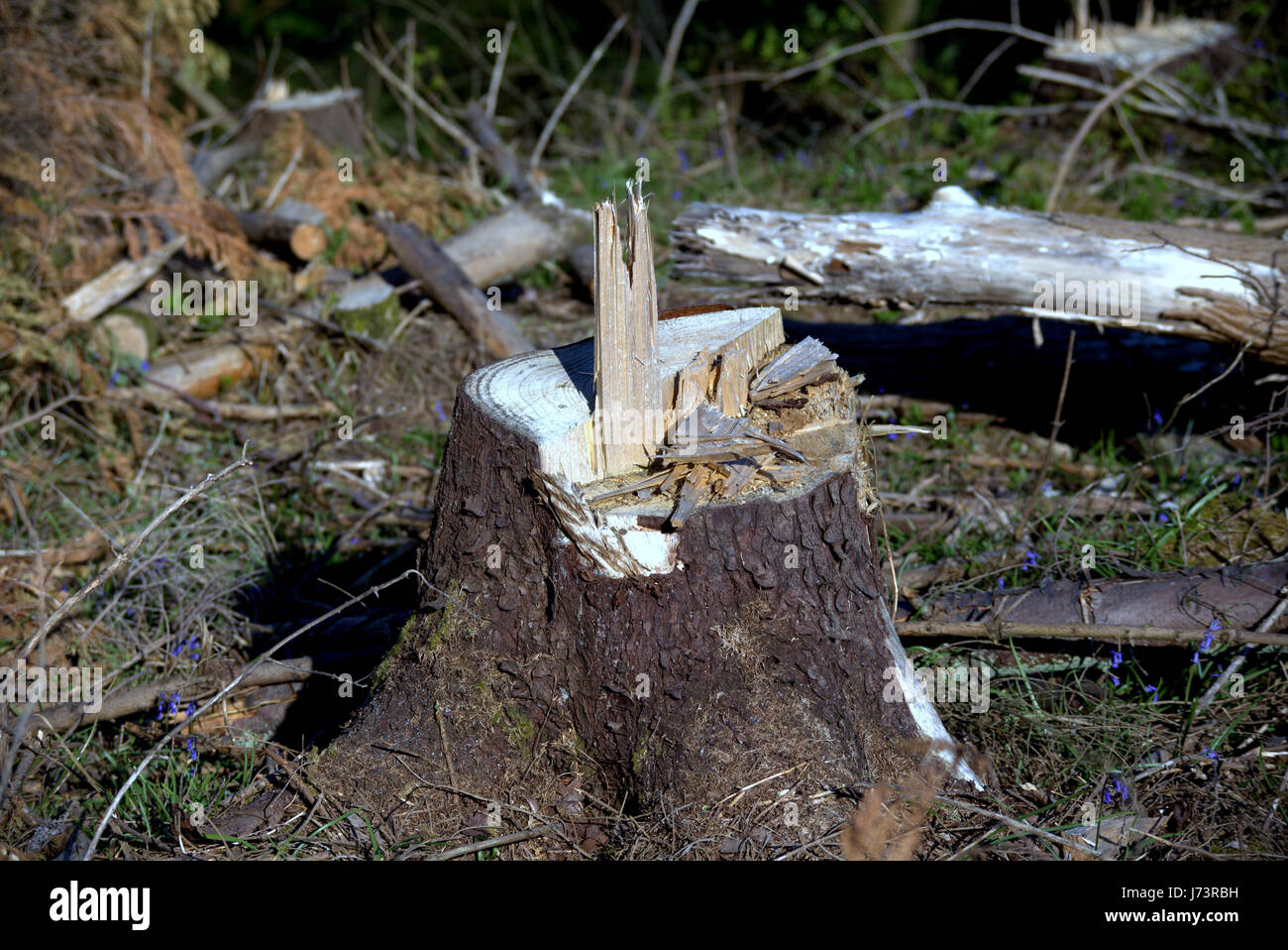 Giving the finger hi-res stock photography and images - Alamy