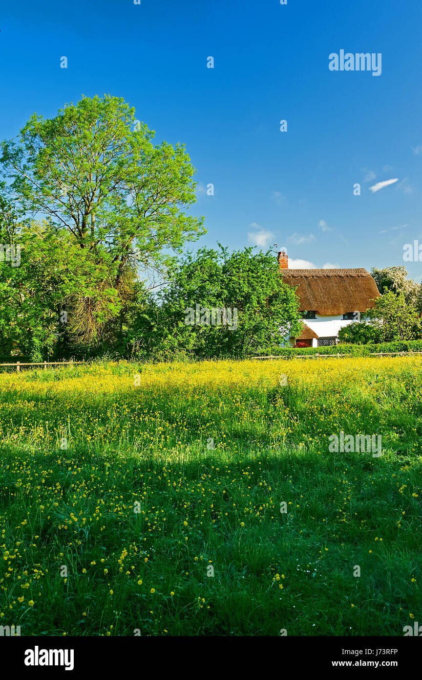 White walled cottage hi-res stock photography and images - Alamy