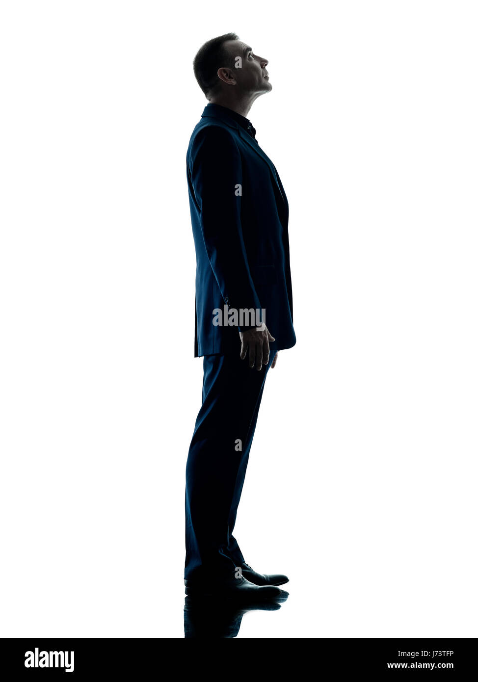 one caucasian business man standing looking up silhouette isolated on ...