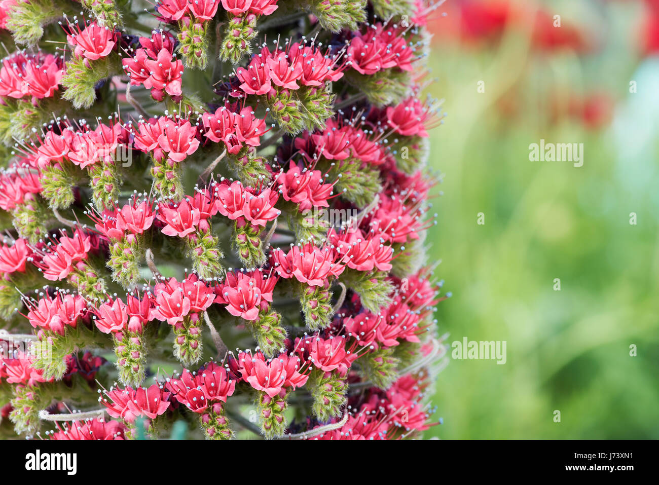Tower of jewels hi-res stock photography and images - Alamy