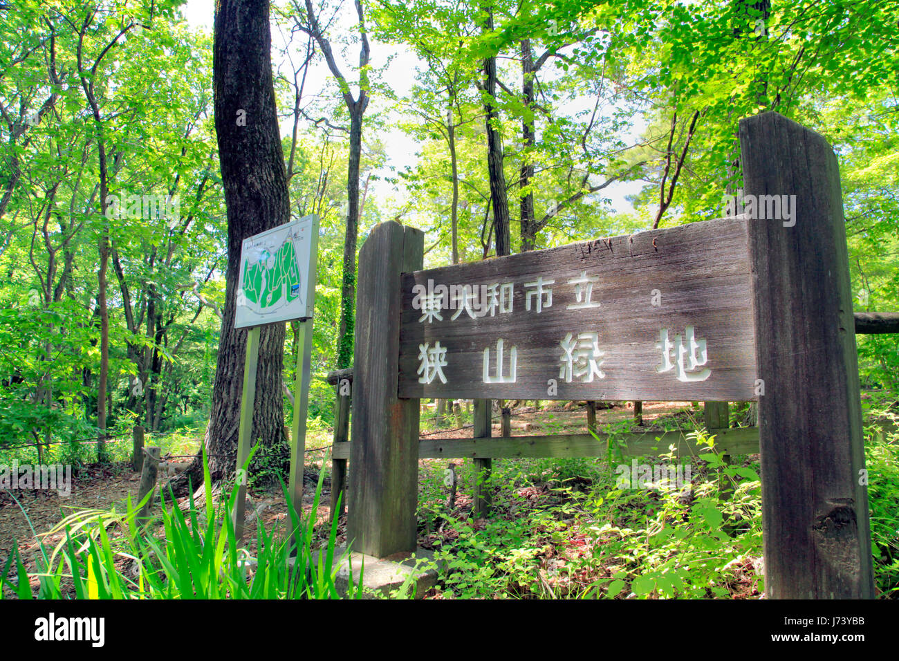 Sayama Green Forest Higashiyamato city Tokyo Japan Stock Photo - Alamy
