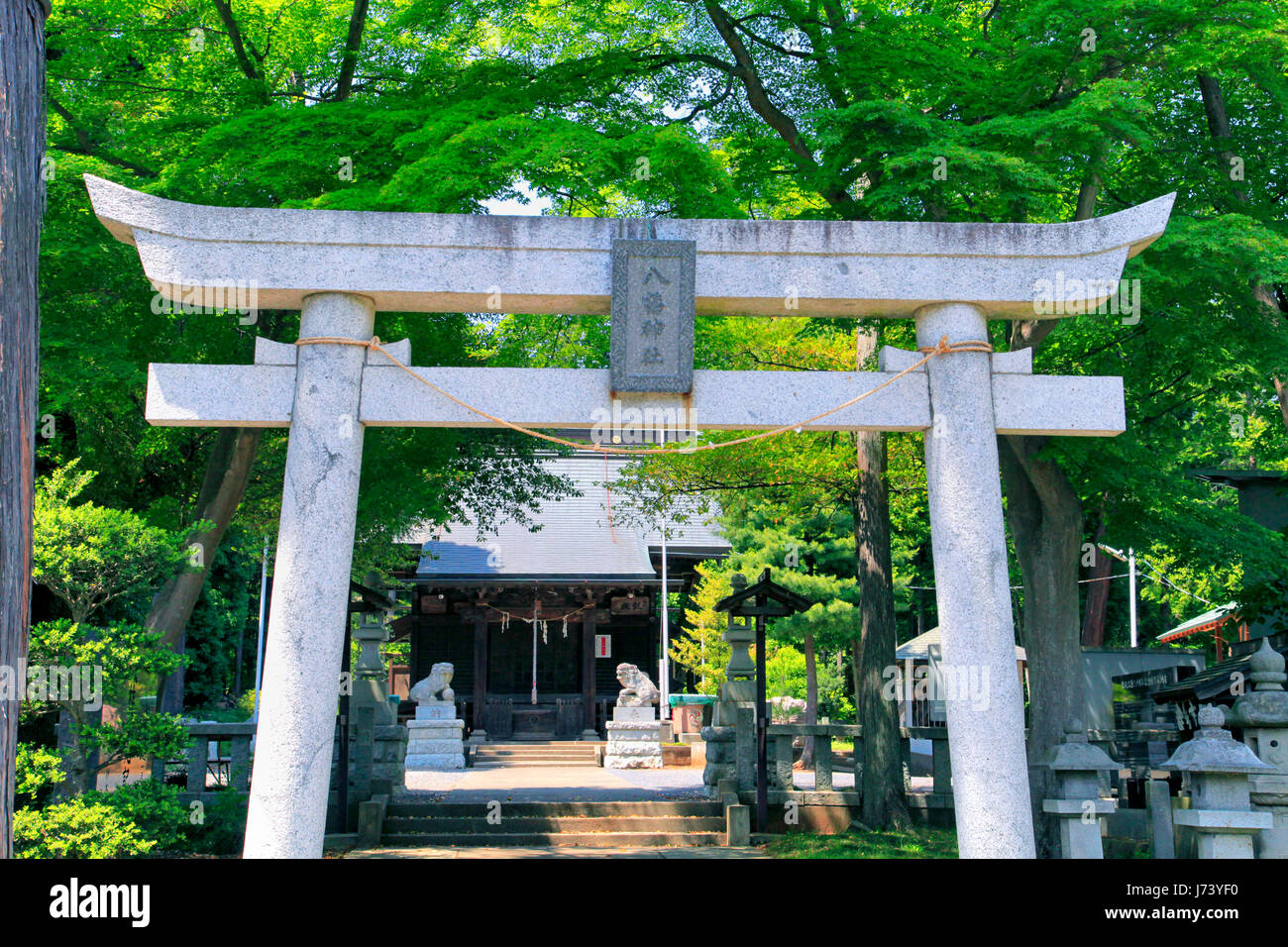 Torii Gate of Hachiman Jinja Shrine in Higashiyamato city Tokyo Japan Stock Photo - Alamy