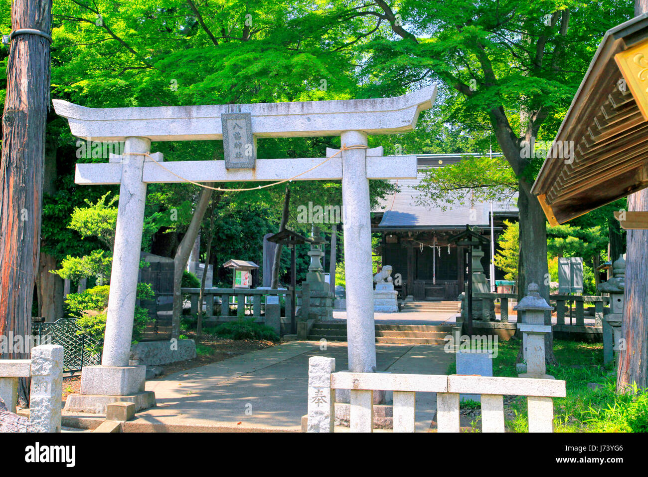 Torii Gate of Hachiman Jinja Shrine in Higashiyamato city Tokyo Japan ...