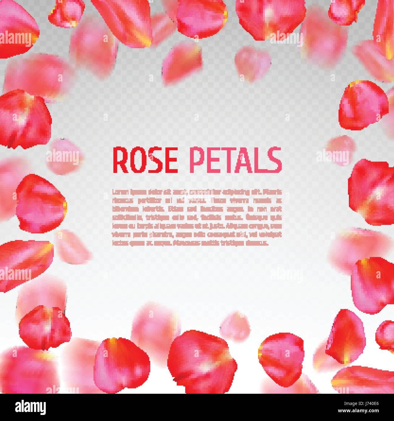 Rose petals border Stock Vector Image & Art - Alamy