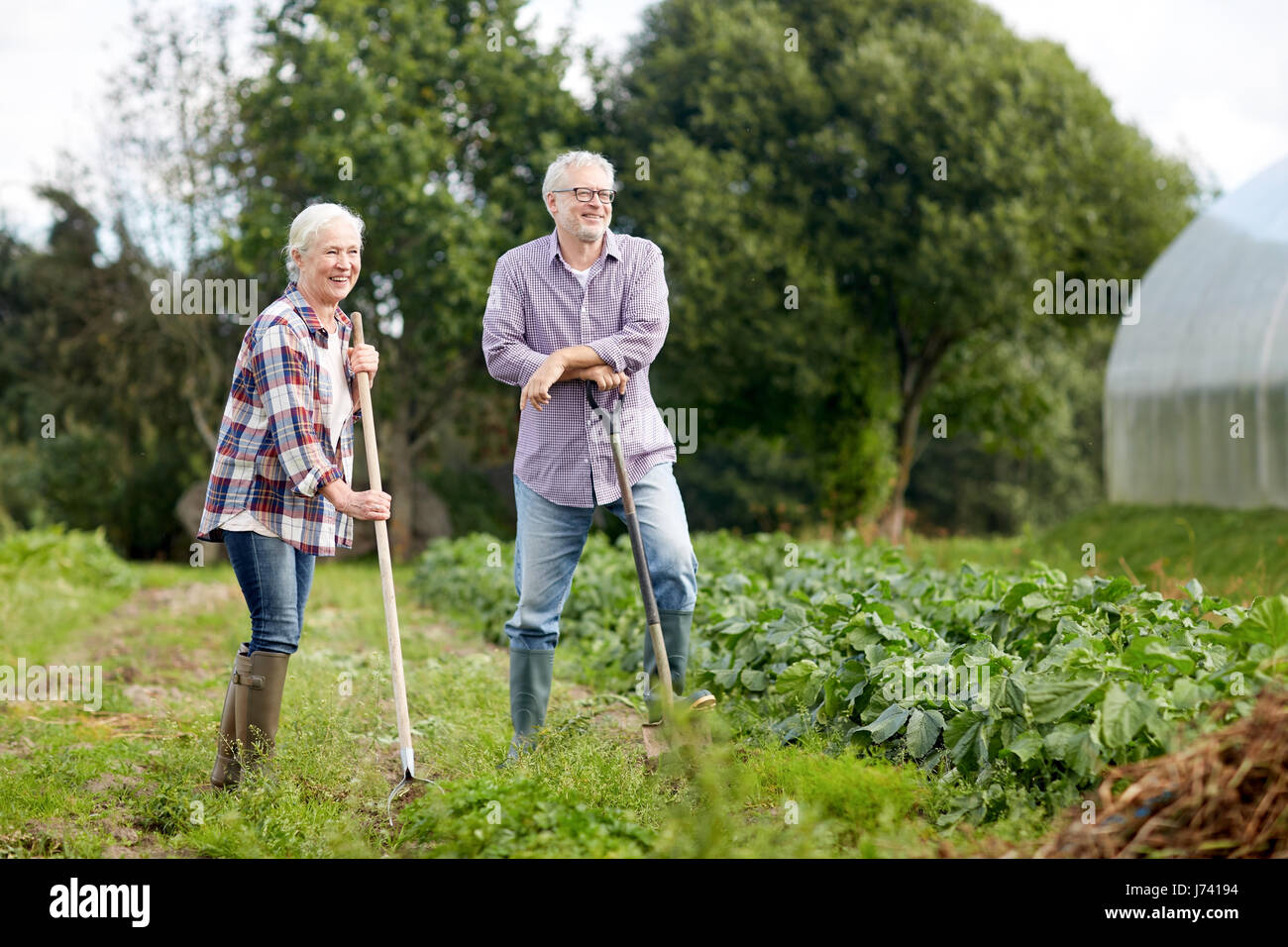 senior couple with shovels at garden or farm Stock Photo - Alamy