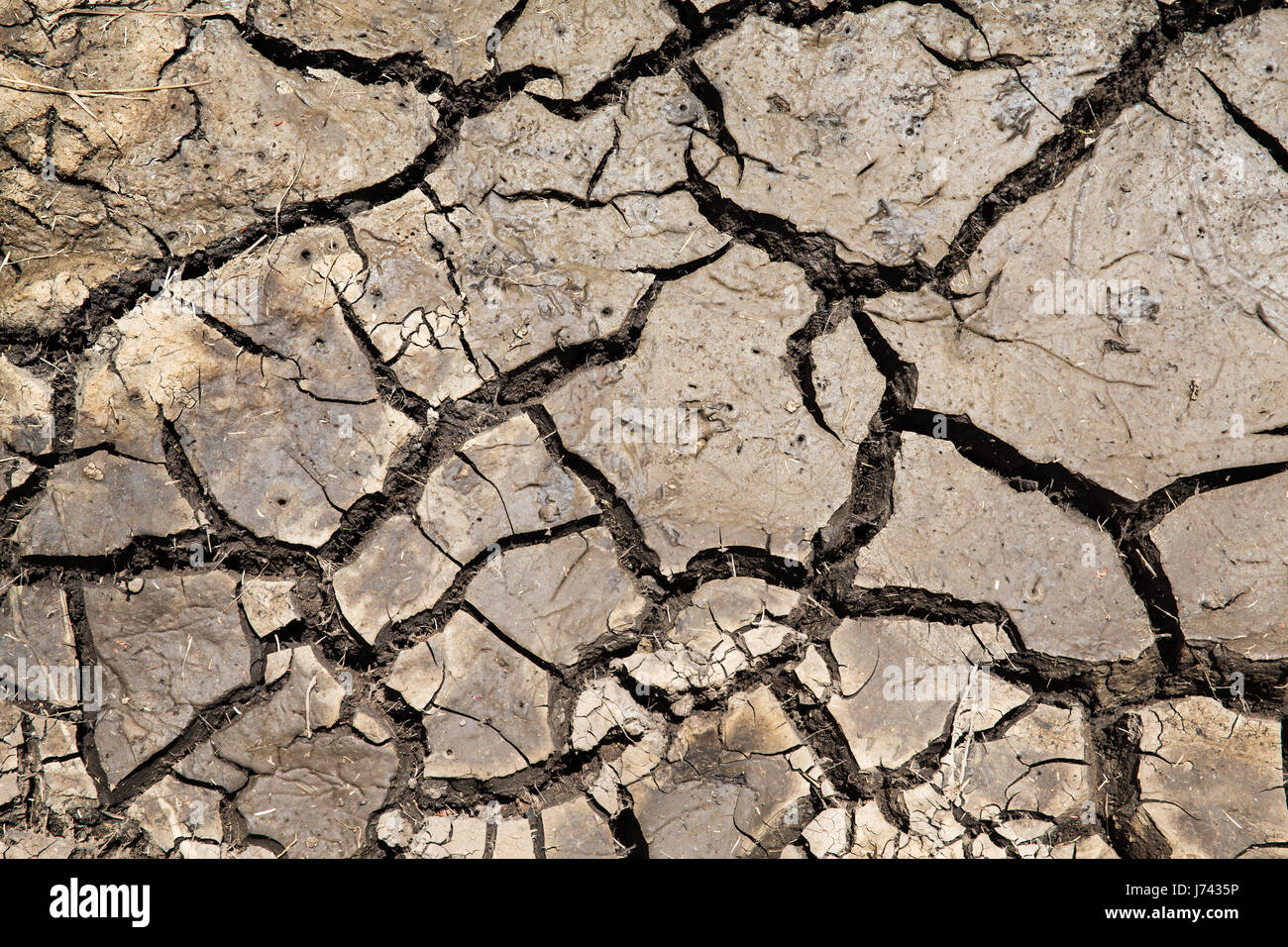 dry cracked ground surface Stock Photo - Alamy