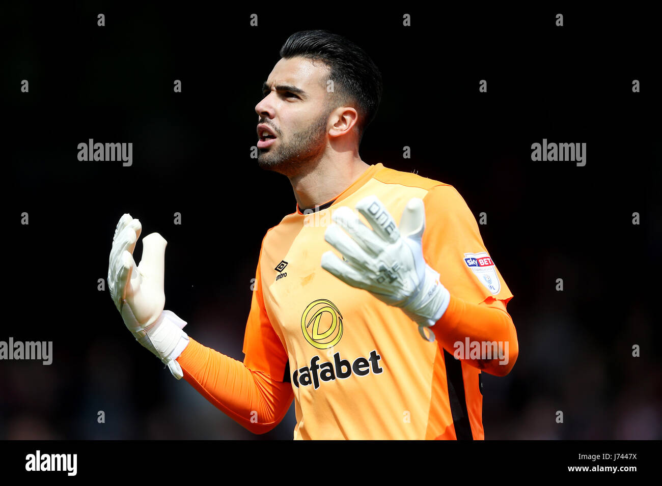 David raya blackburn hi-res stock photography and images - Alamy