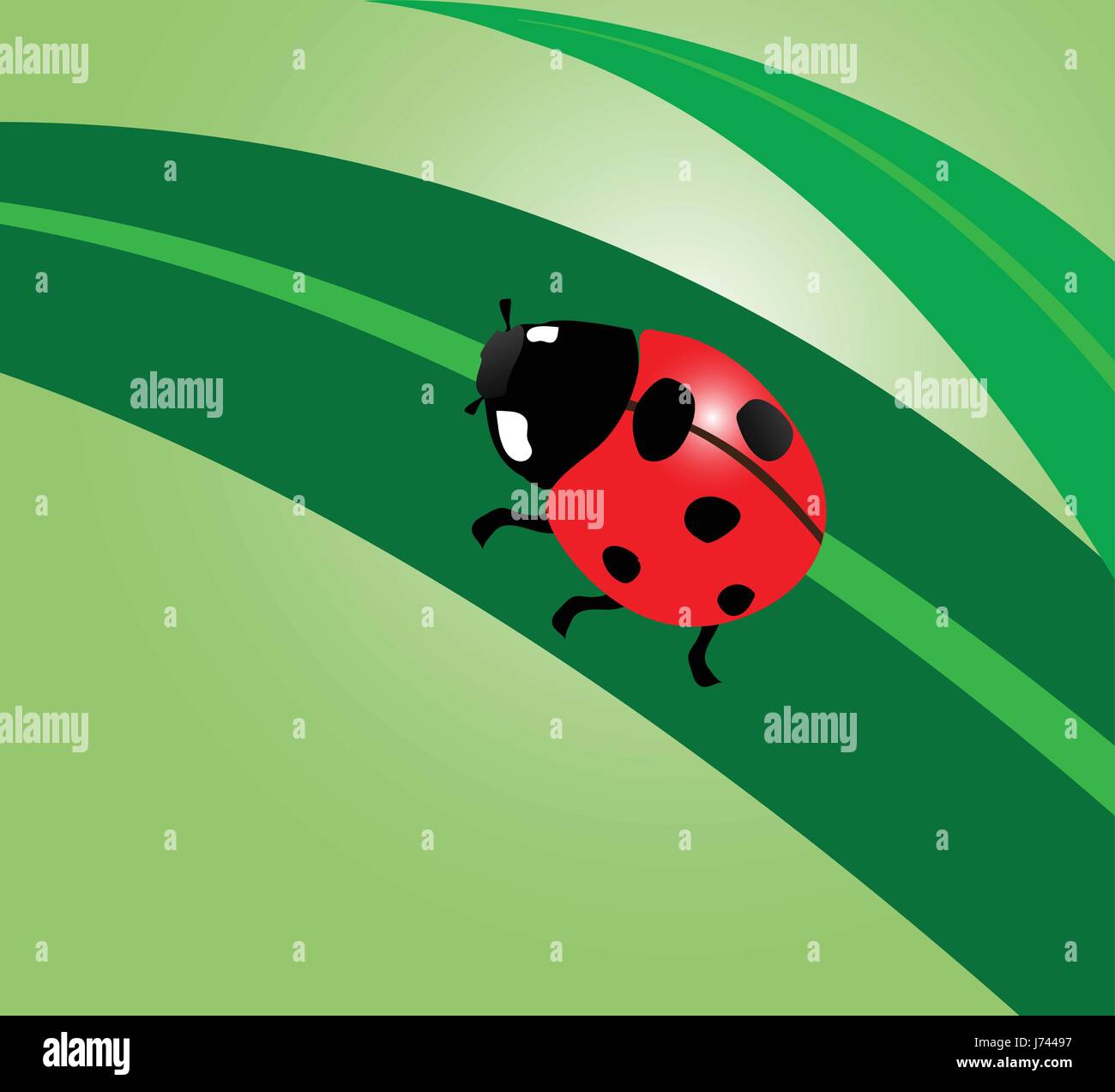 ladybug, Vector illustration Stock Vector Image & Art - Alamy ladybug, Vector illustration Stock Vector Image & Art - Alamy