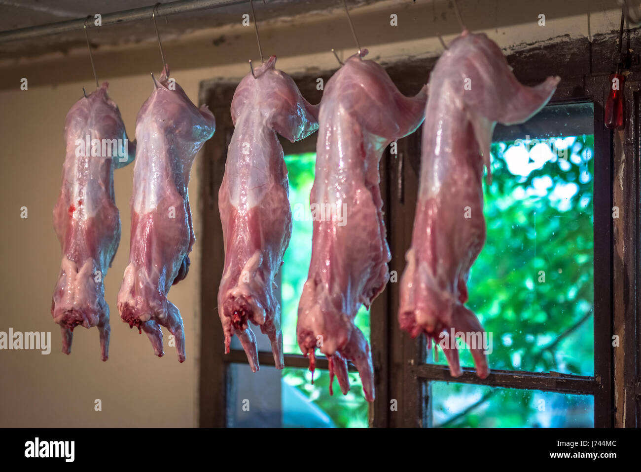 Raw fresh rabbit meat Stock Photo - Alamy