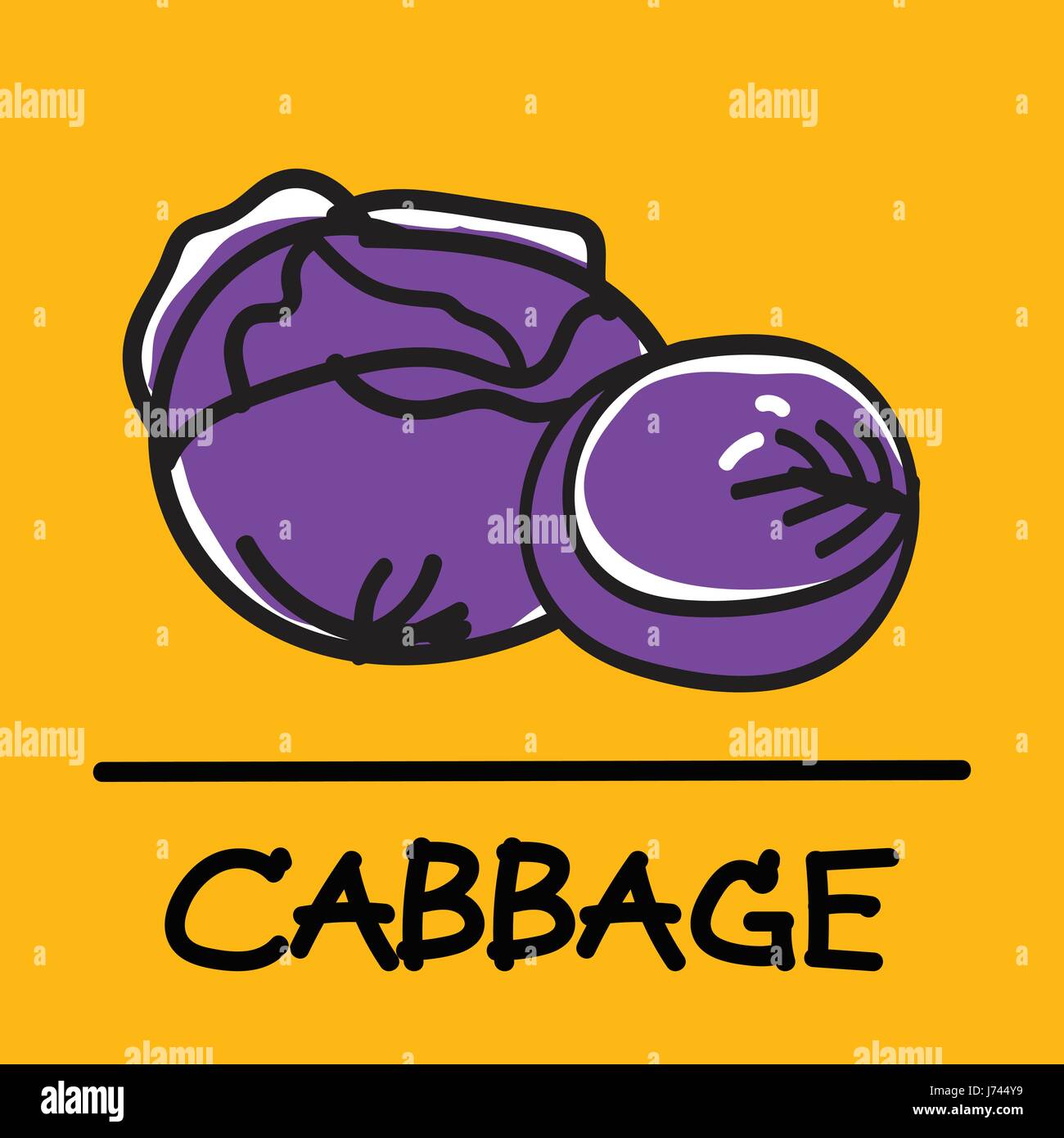 Cute cabbage hand-drawn style,drawing,hand drawn vector illustration ...