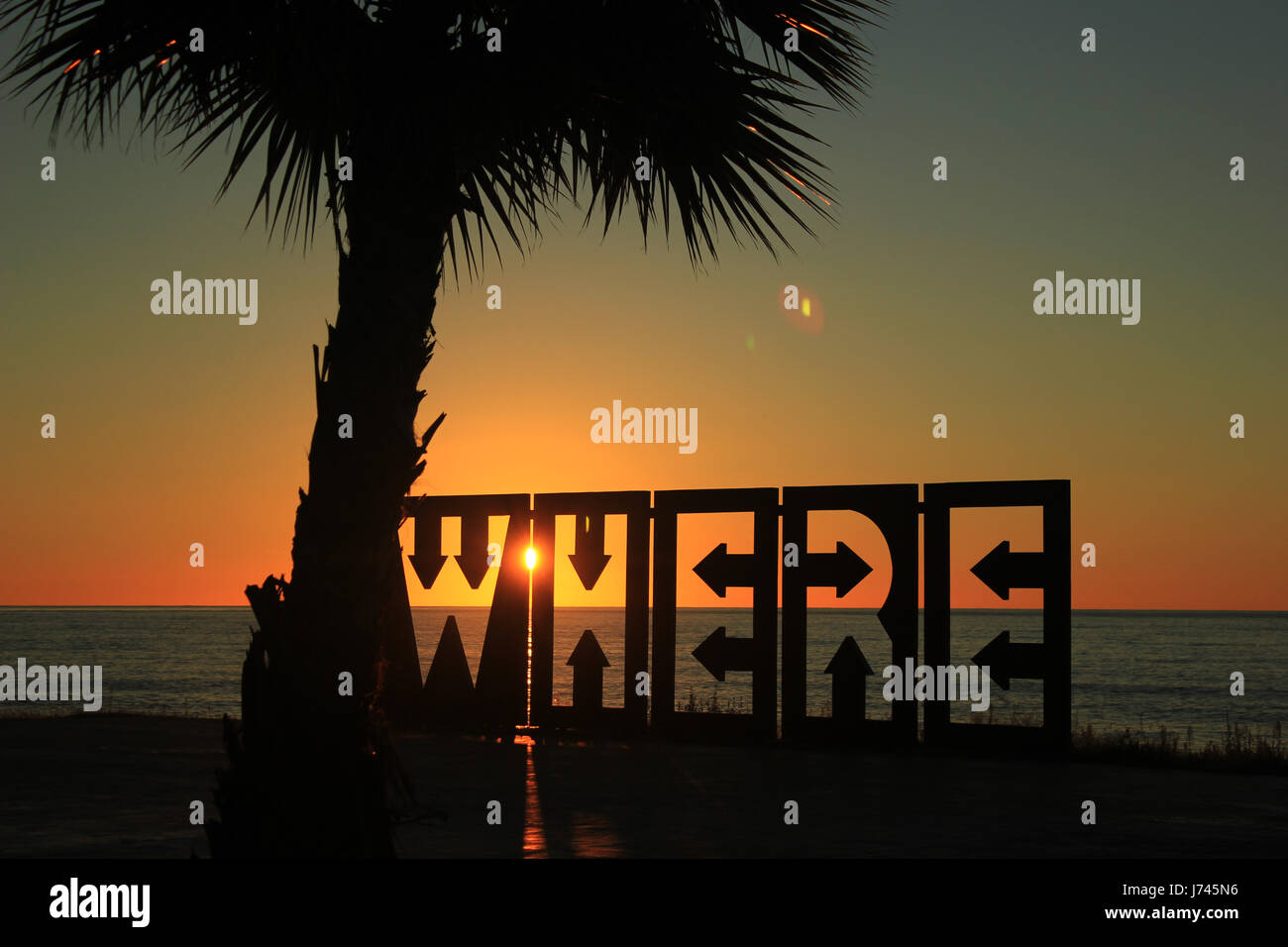 where, monument with palm tree at sunset in batumi Stock Photo - Alamy