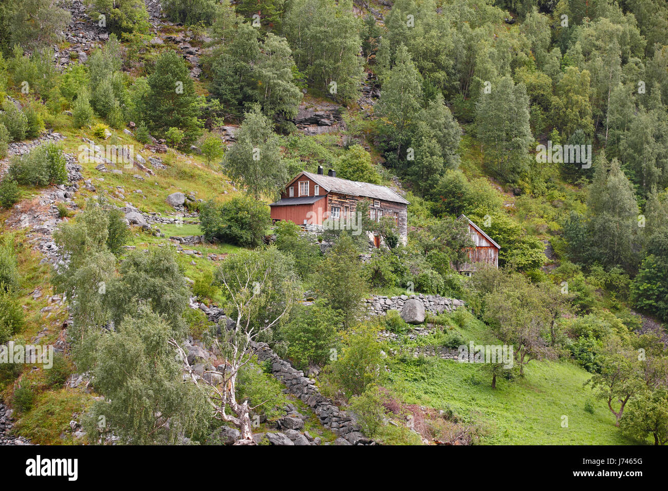 Traditional norwegian wooden house on a green forest hill landscape ...
