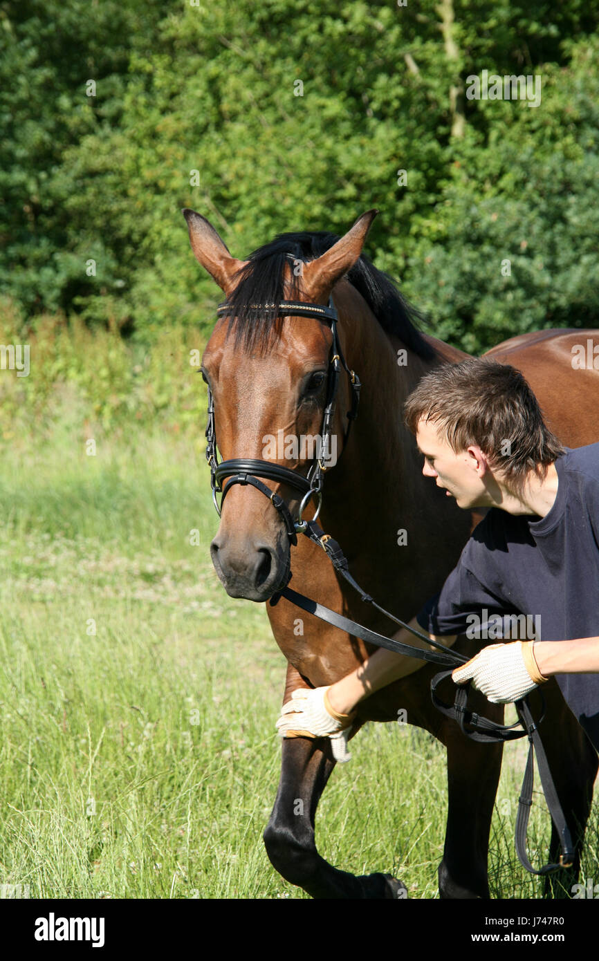 young man with horse Stock Photo - Alamy