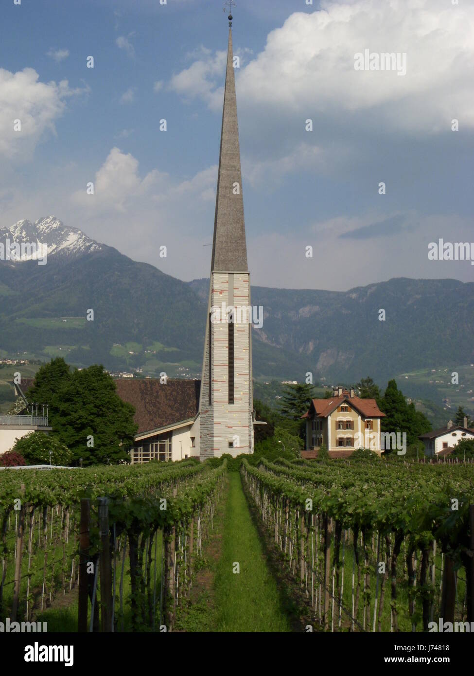 Apfelbluete meran hi-res stock photography and images - Alamy