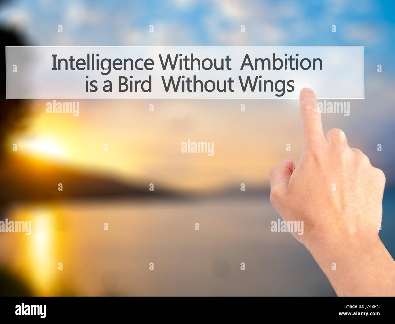 Intelligence Without Ambition is a Bird Without Wings - Hand pressing a ...