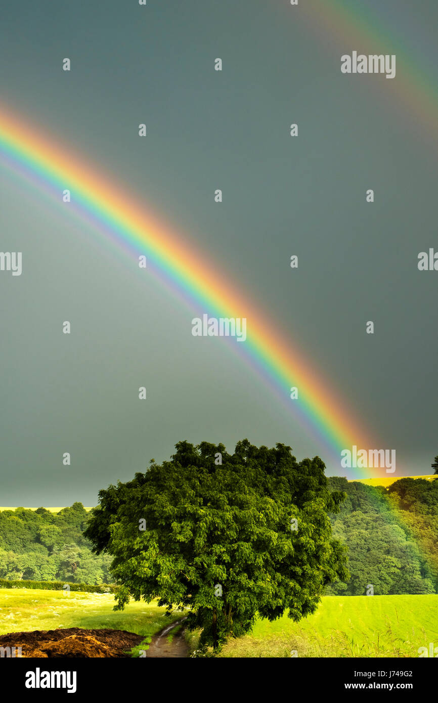 Rainbow over Tree Newton under Roseberry, Cleveland Stock Photo - Alamy
