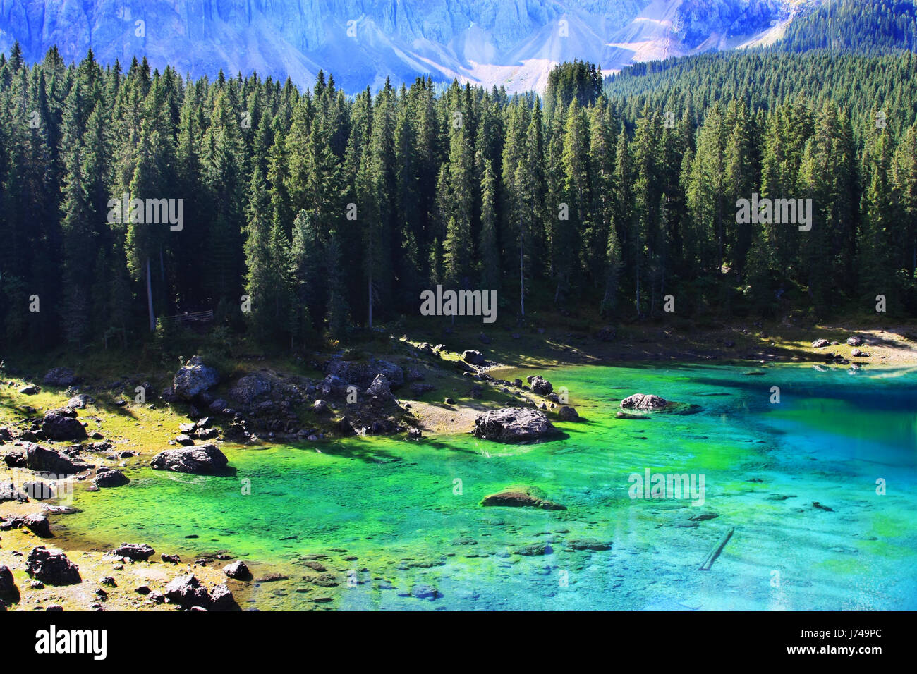 dolomites south tyrol rock mirroring salt water sea ocean water forest ...