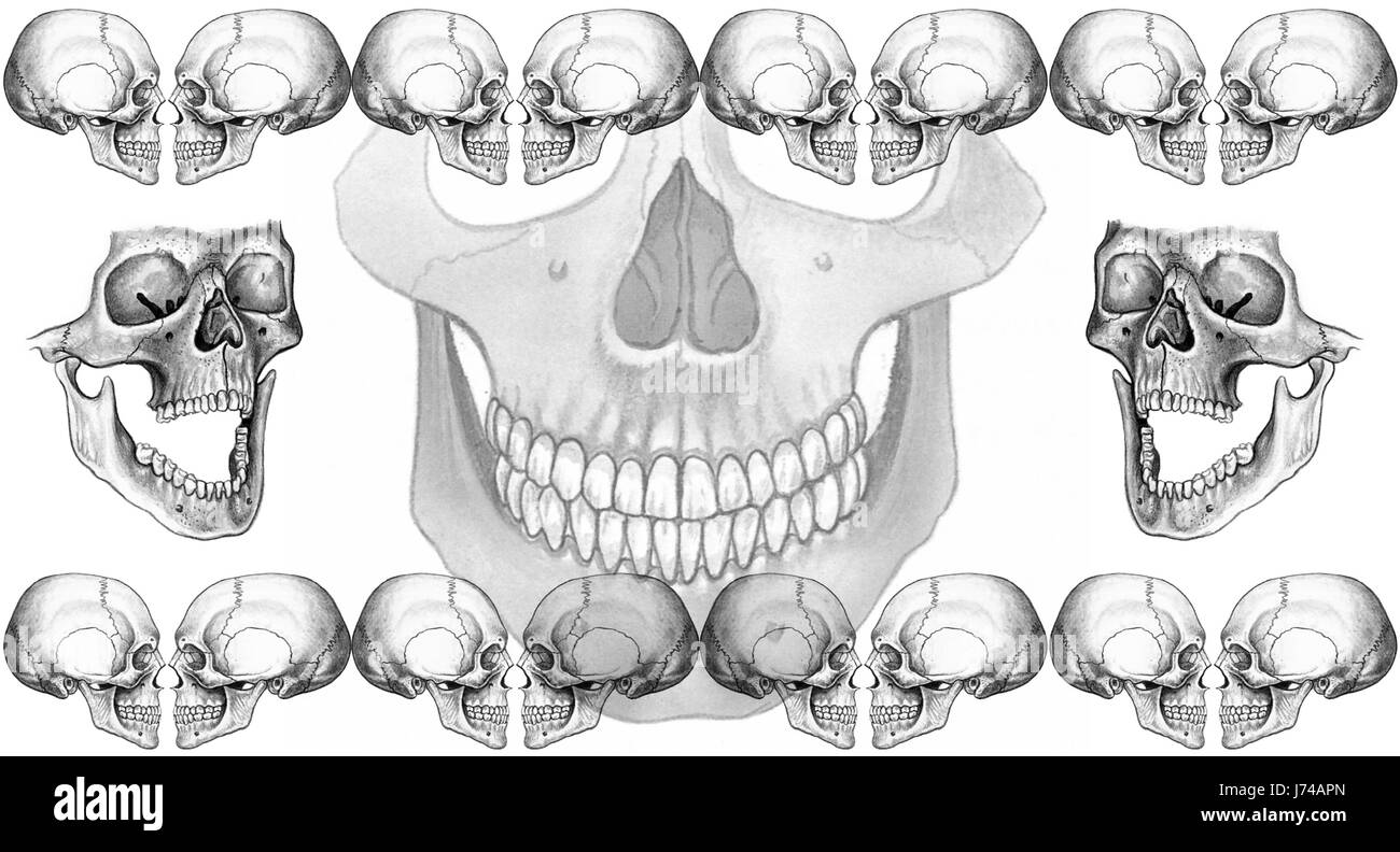 skull scary bizarre halloween spooky horror backdrop background death ...