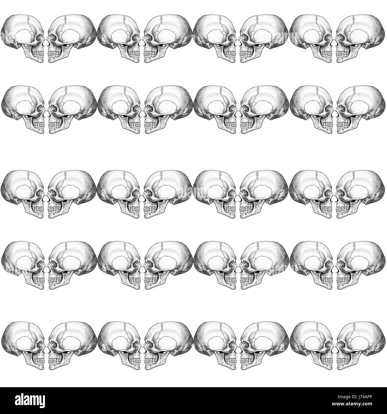 skull scary halloween spooky horror backdrop background death skull ...
