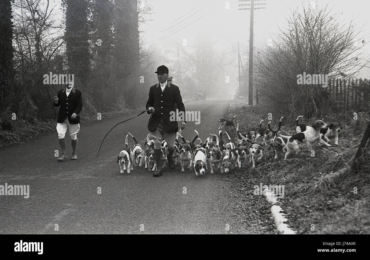 Foxhunting Stock Photos & Foxhunting Stock Images - Alamy