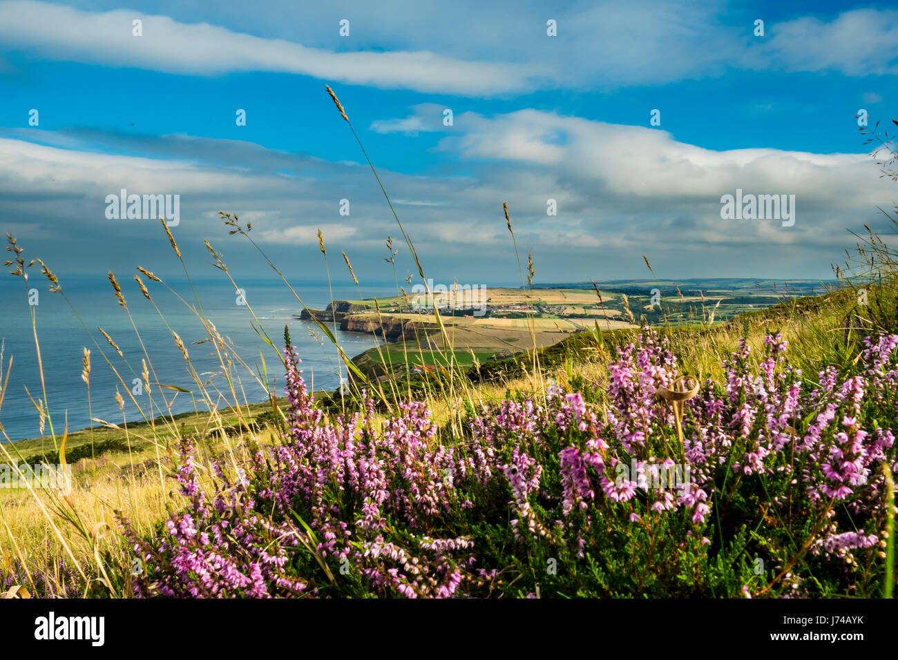 Boulby cliffs north yorkshire coast hi-res stock photography and images ...