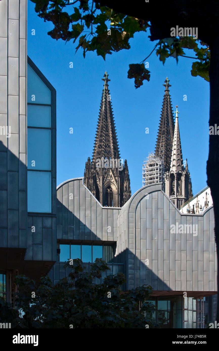 blue tree trees cologne cathedral museum firmament sky blue tree trees ...
