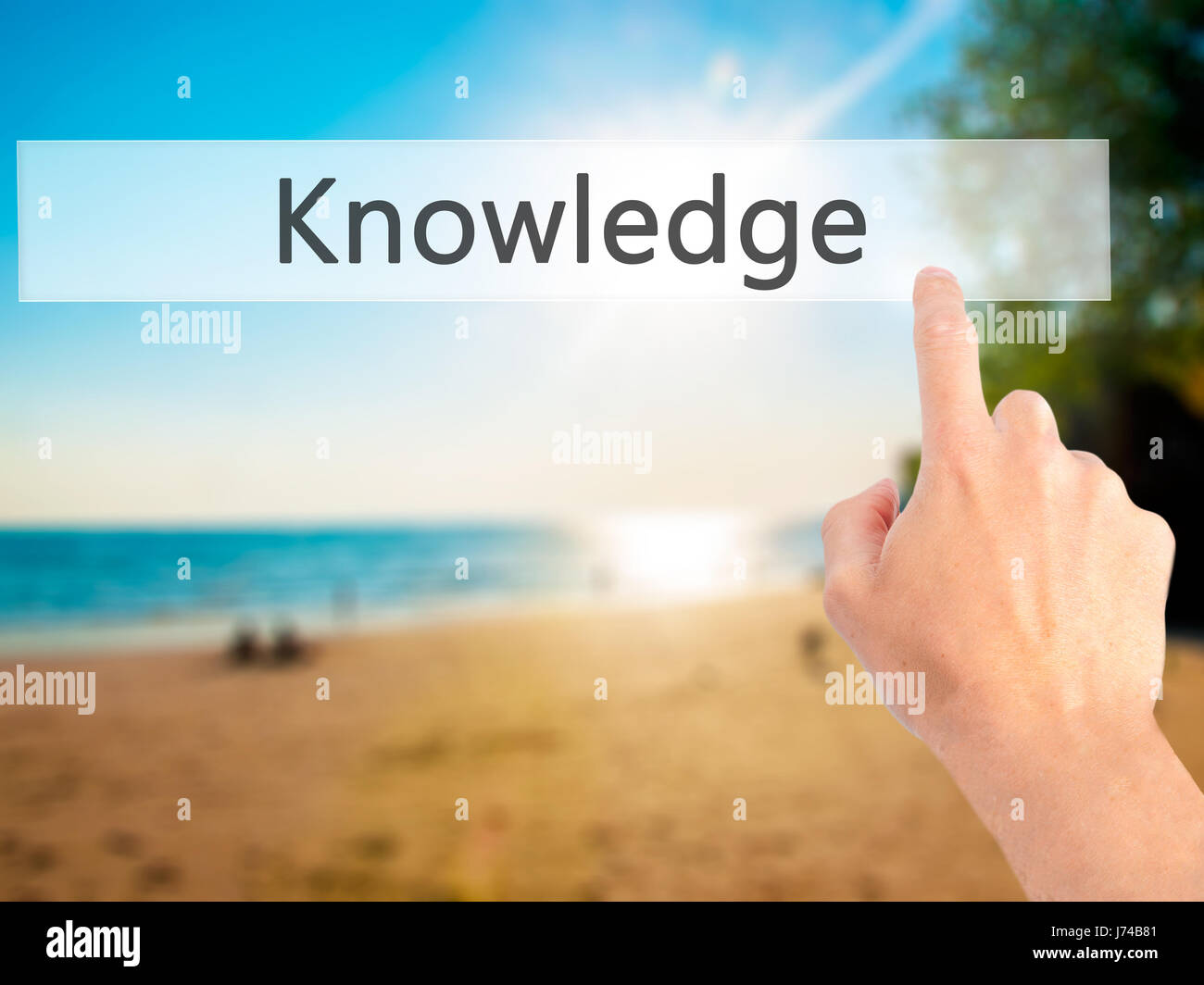 Knowledge - Hand pressing a button on blurred background concept ...