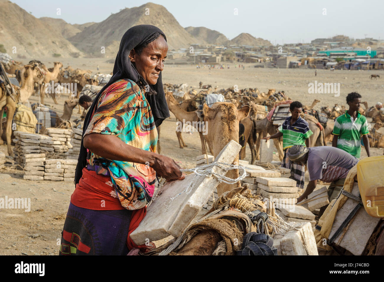 Afar woman downloading from a camel, salt blocks collected in the ...