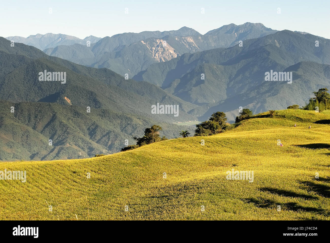 beautiful beauteously nice agriculture farming outdoor farm idyllic ...