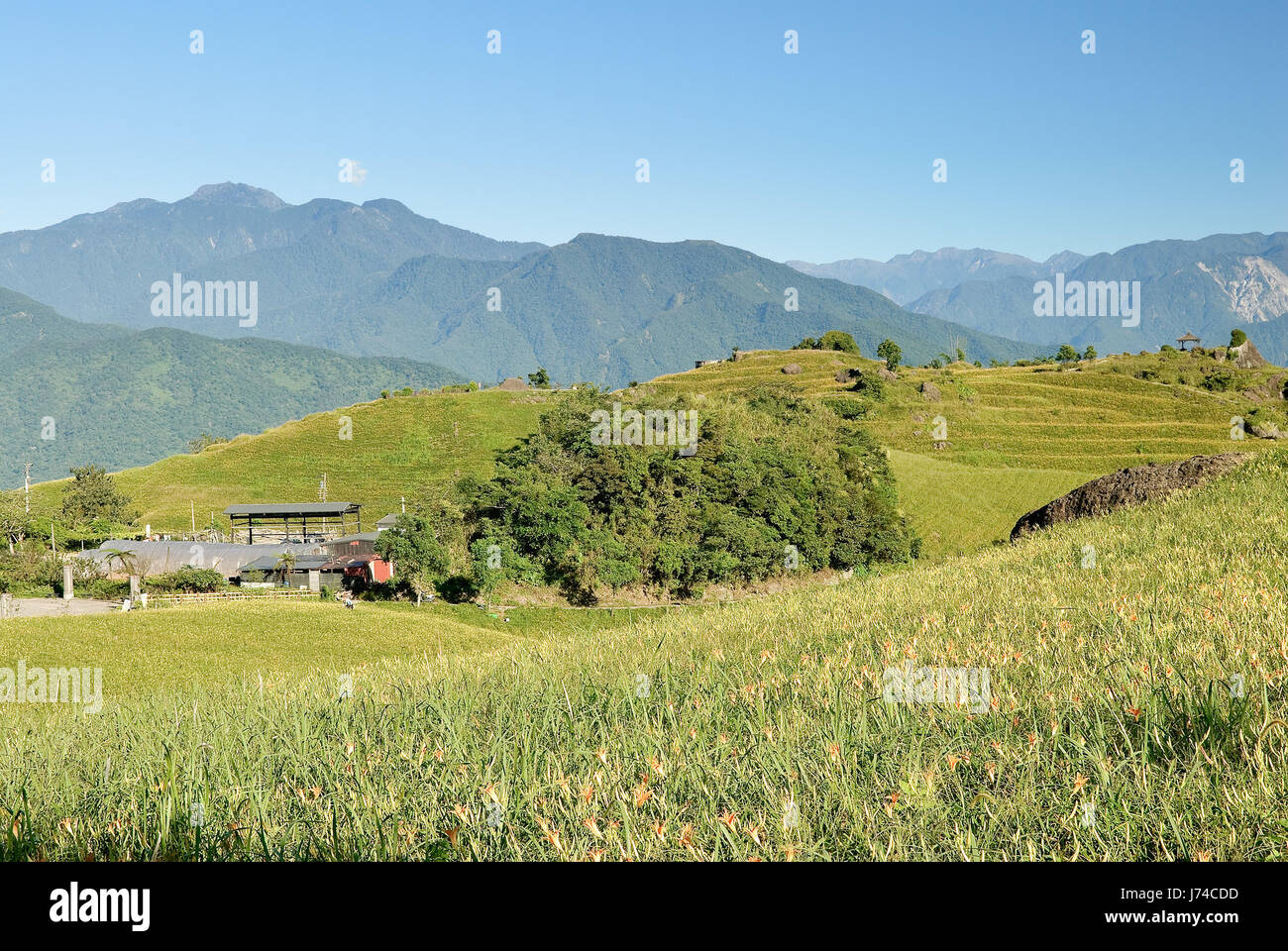 beautiful beauteously nice agriculture farming outdoor farm idyllic ...