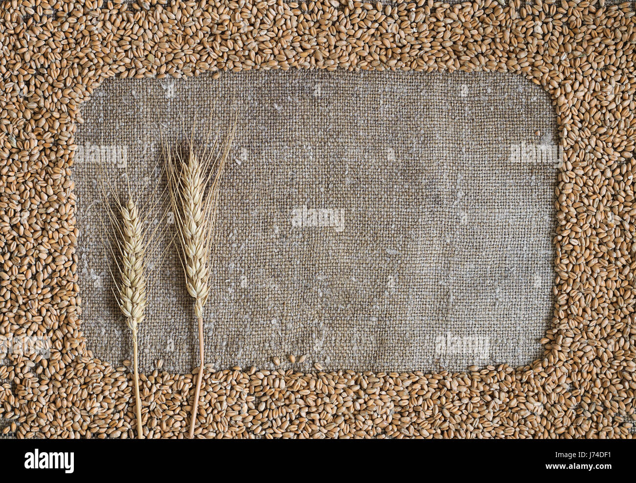 Wheat grain in form frame hi-res stock photography and images - Alamy