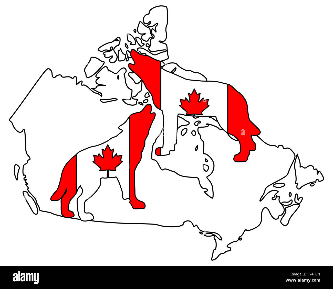 Canadian howling wolf hi-res stock photography and images - Alamy