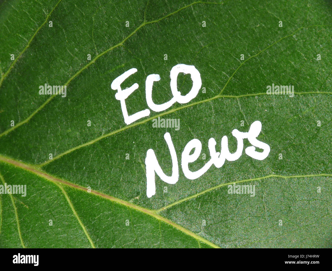 Laminar structure hi-res stock photography and images - Alamy