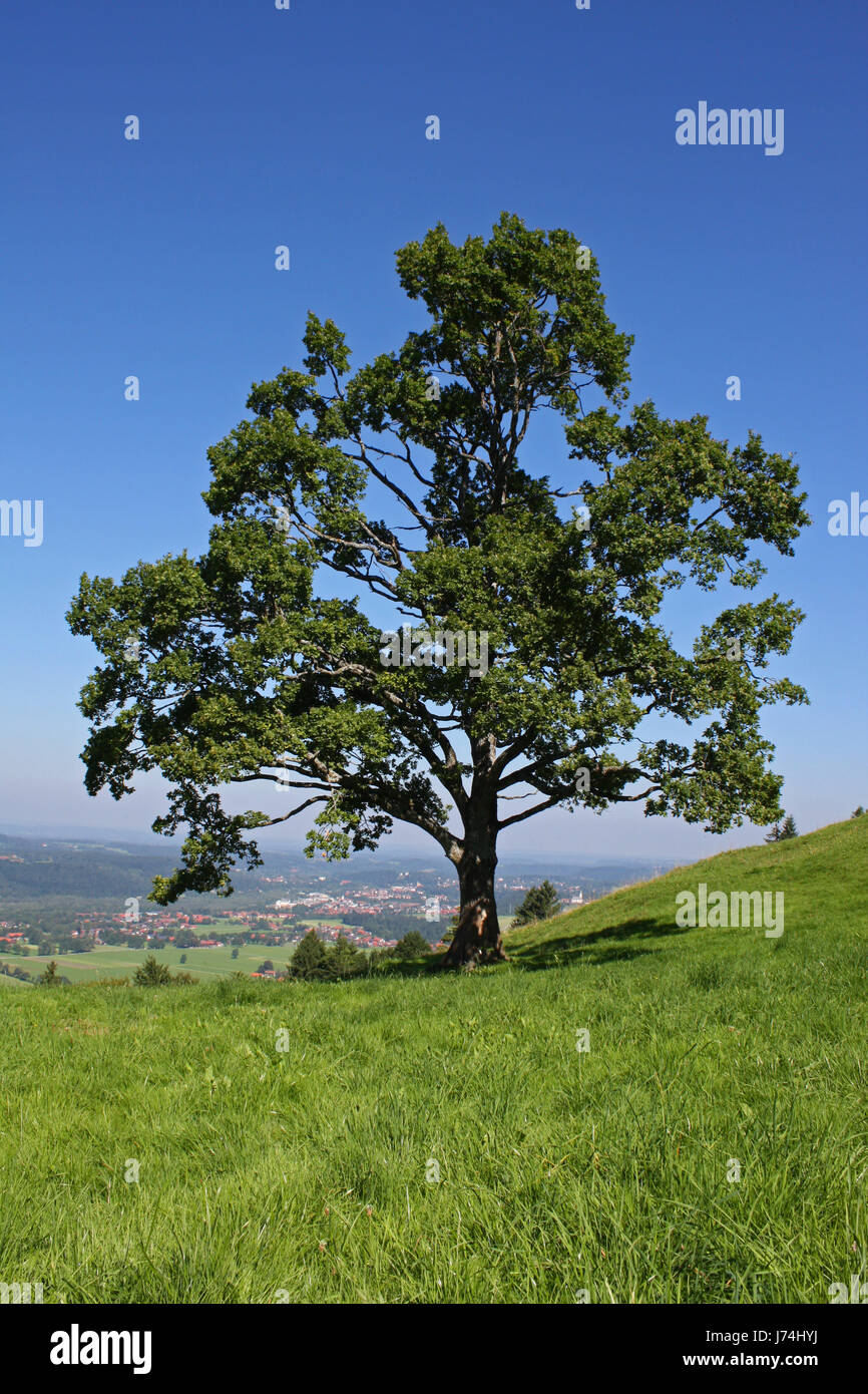 Benediktenwand isarwinkel hi-res stock photography and images - Alamy