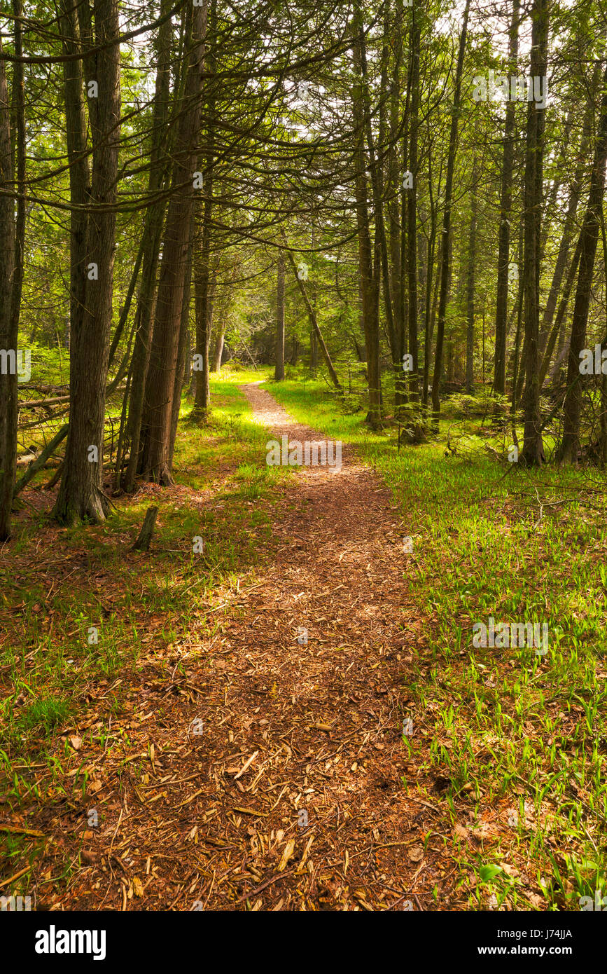The ridges sanctuary door county hi-res stock photography and images ...