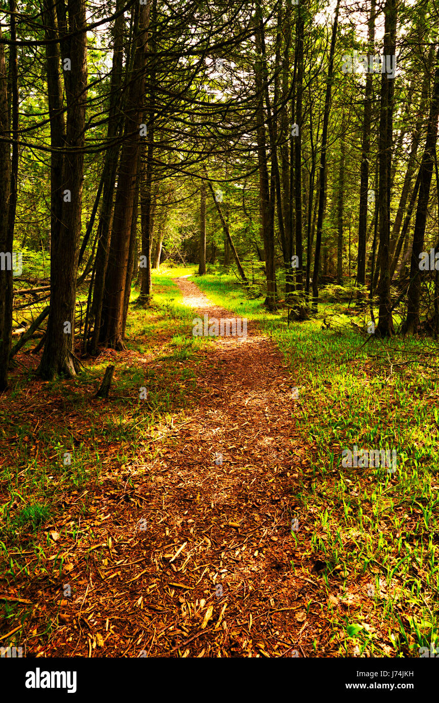 The ridges sanctuary door county hi-res stock photography and images ...