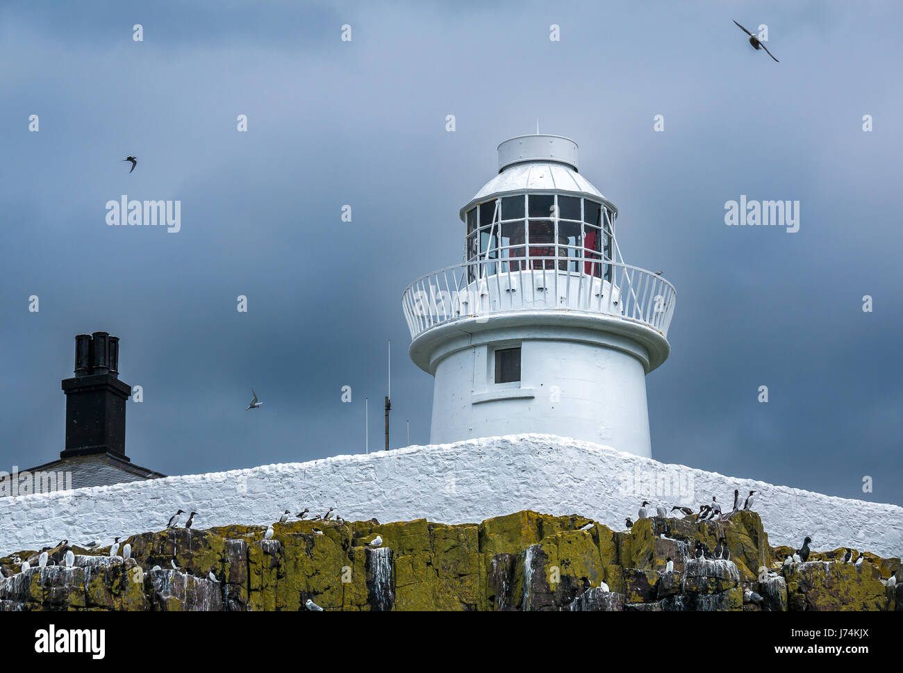 View of Lighthouse on Inner Farne, Farne Islands, Northumberland ...
