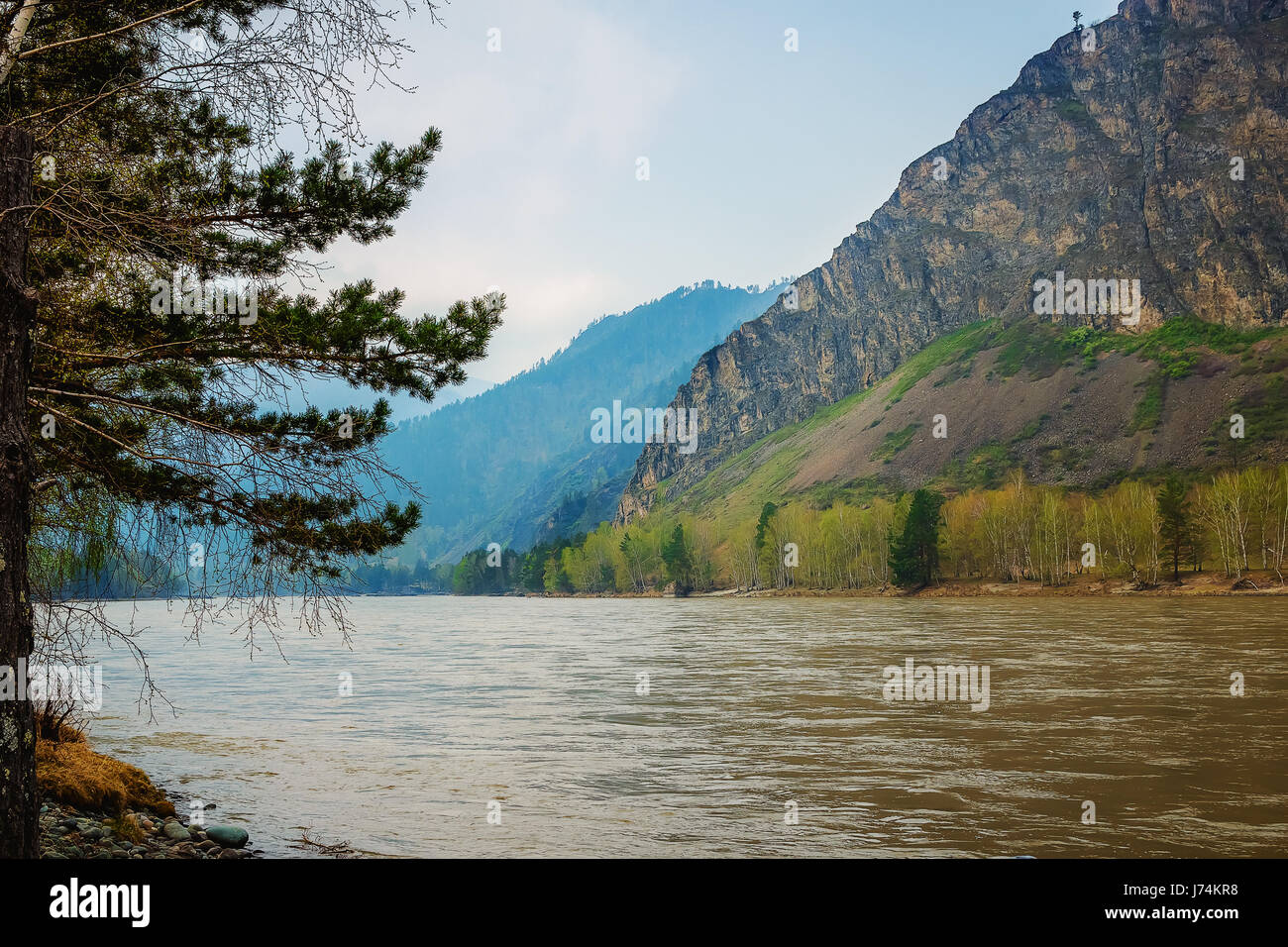 landscape with mountains, forest and a river in front. beautiful ...
